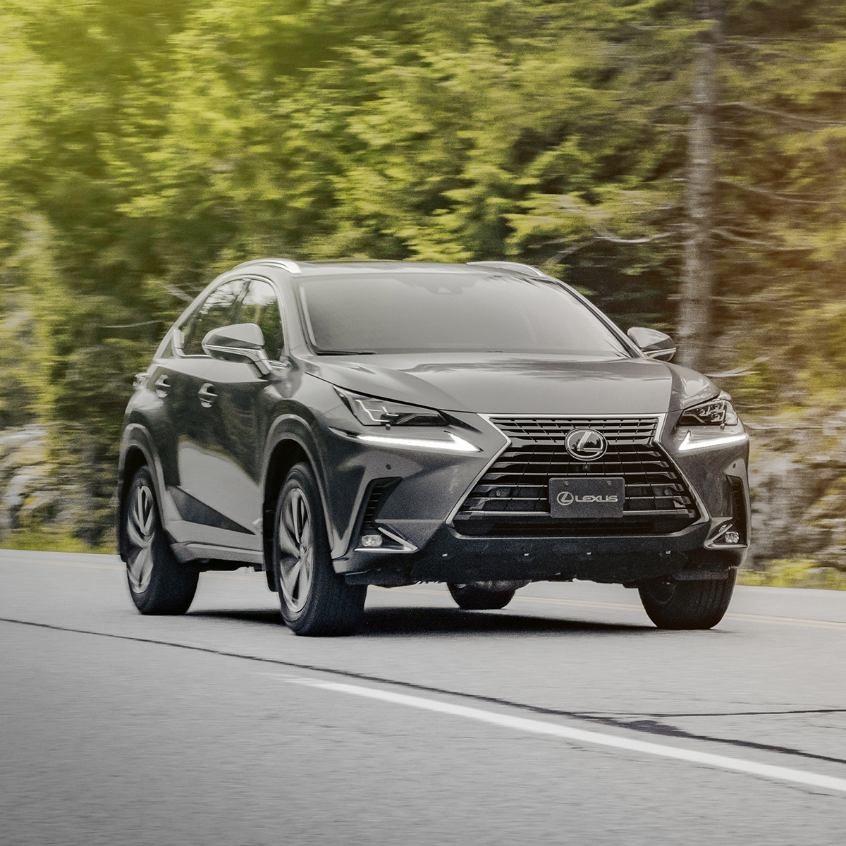 Lexus Malaysia | Luxury Cars | Experience Amazing