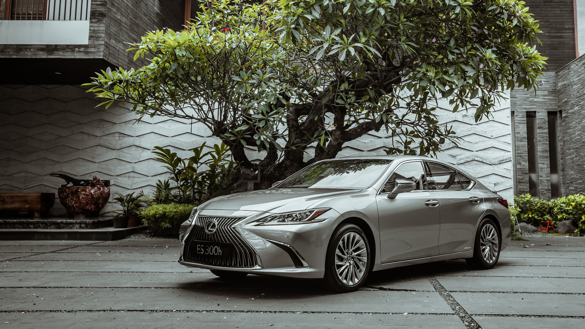 Lexus Indonesia| Luxury & Hybrid Cars | Experience Amazing